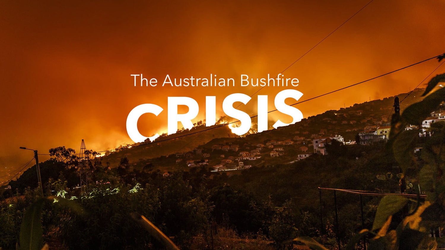 The Australian Bushfire Crisis – Nueboo